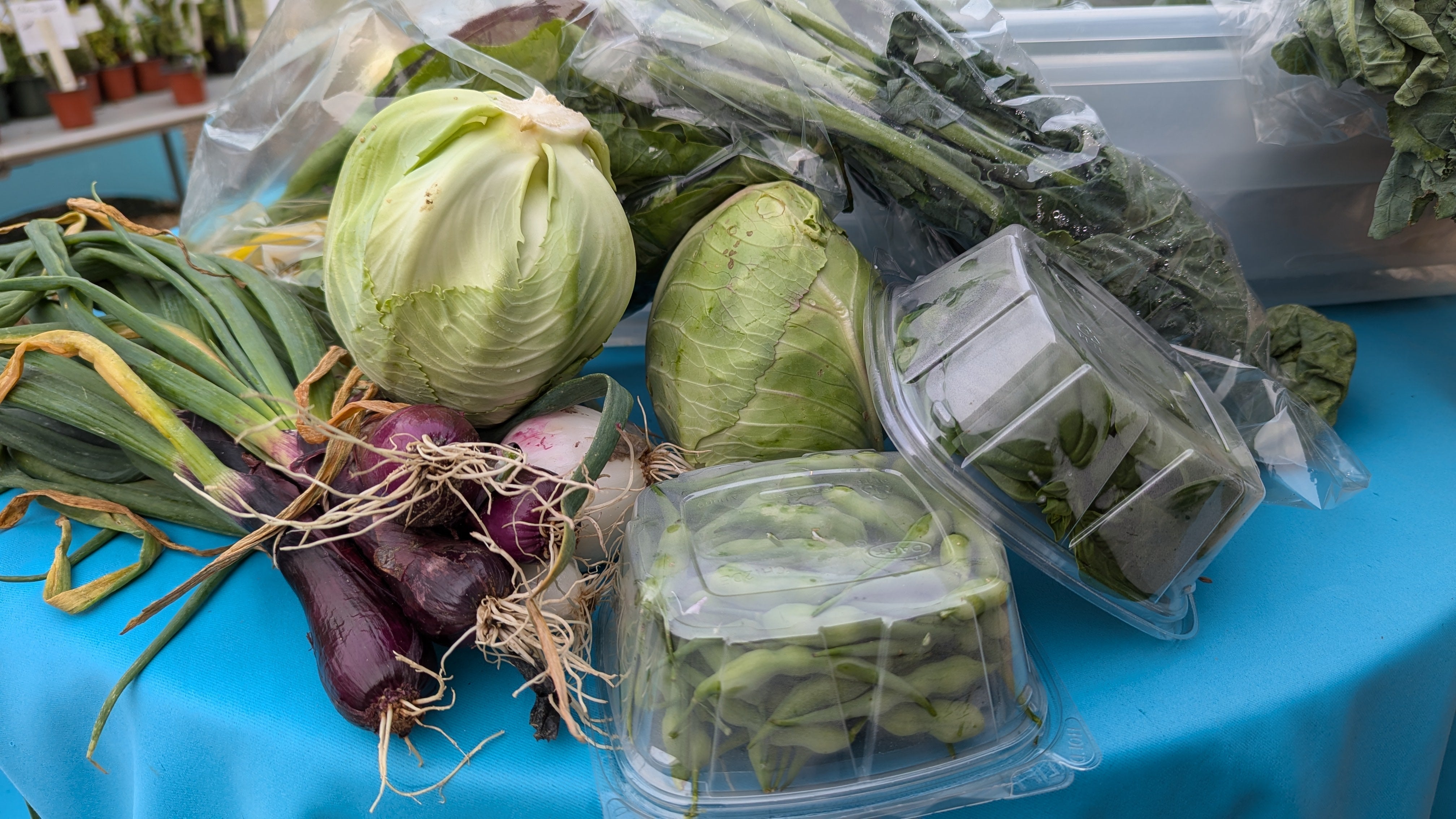 2025 CSA sign ups available! – Blue Ridge Pepper Patch