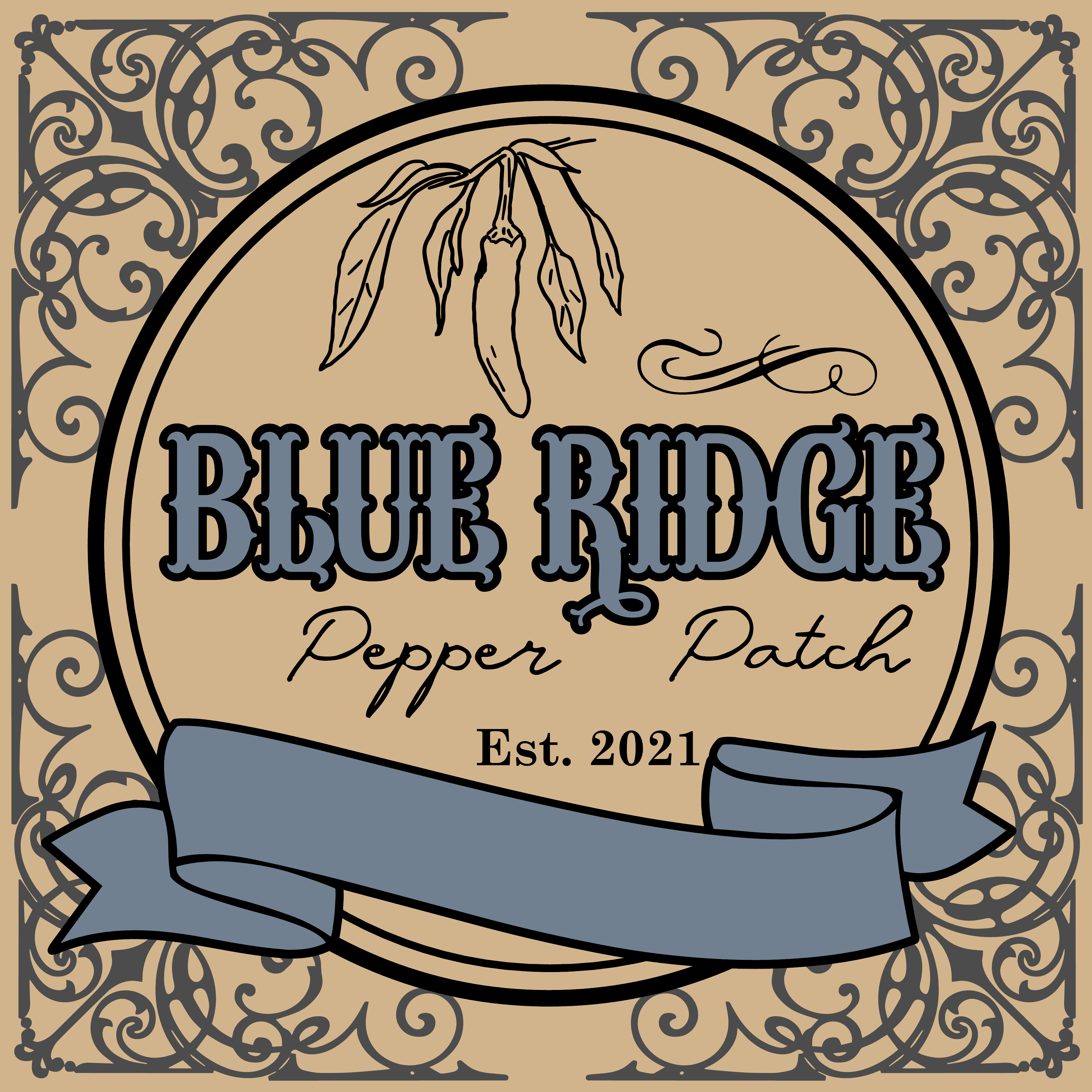 Quick plant peppers in a 5 gal bucket – Blue Ridge Pepper Patch