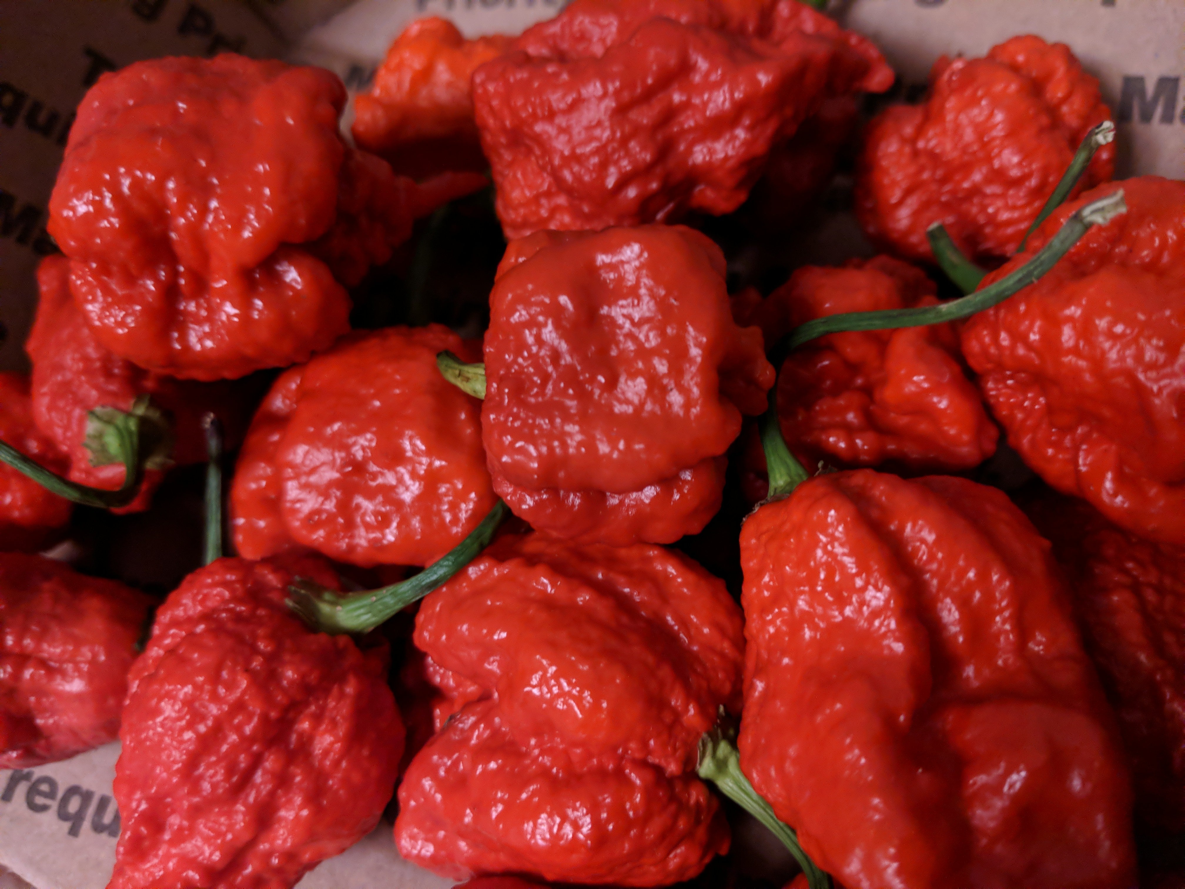 Peppers by color – Blue Ridge Pepper Patch